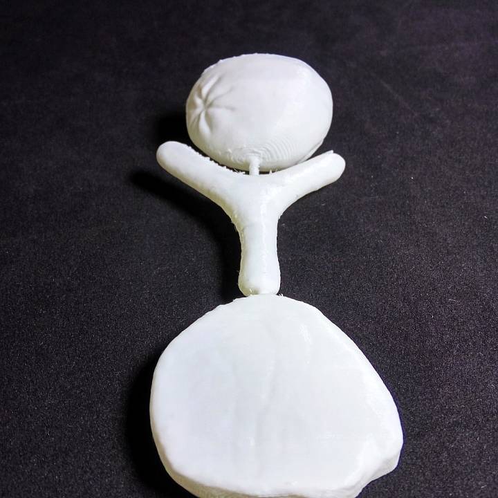 3D Printable Female Torso by Scan The World
