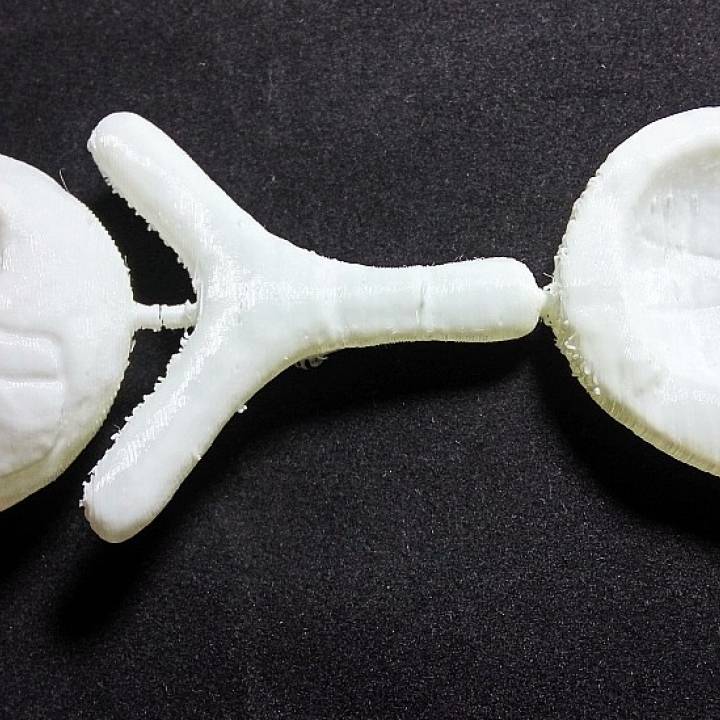 3D Printable Female Torso by Scan The World