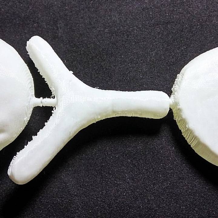 3D Printable Female Torso by Scan The World