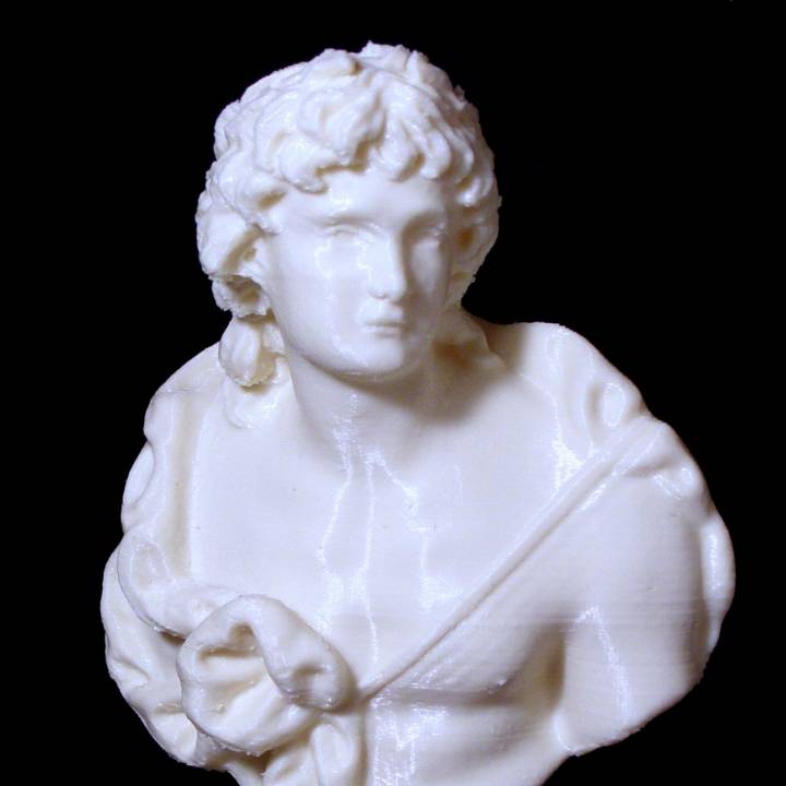 3D Printable Apollo by Scan The World