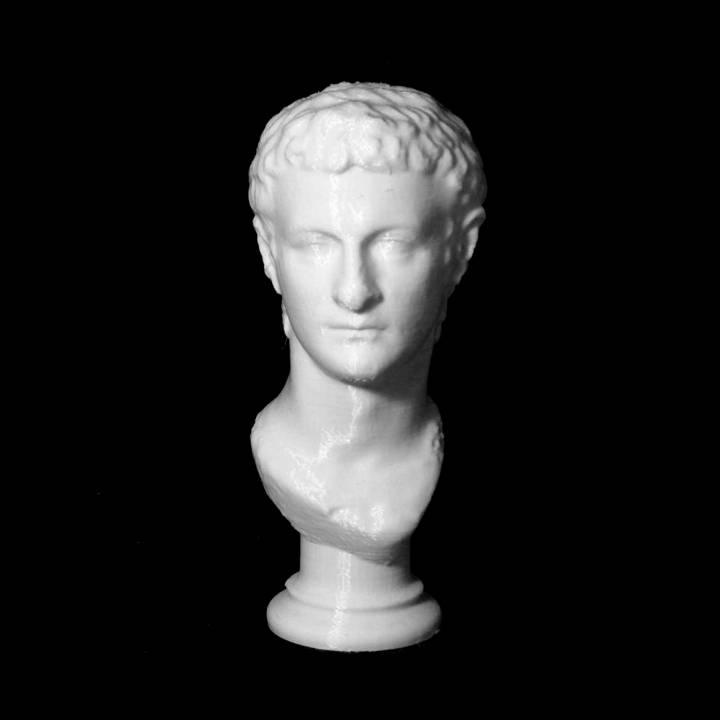 3D Printable Portrait Head of Caligula by Scan The World