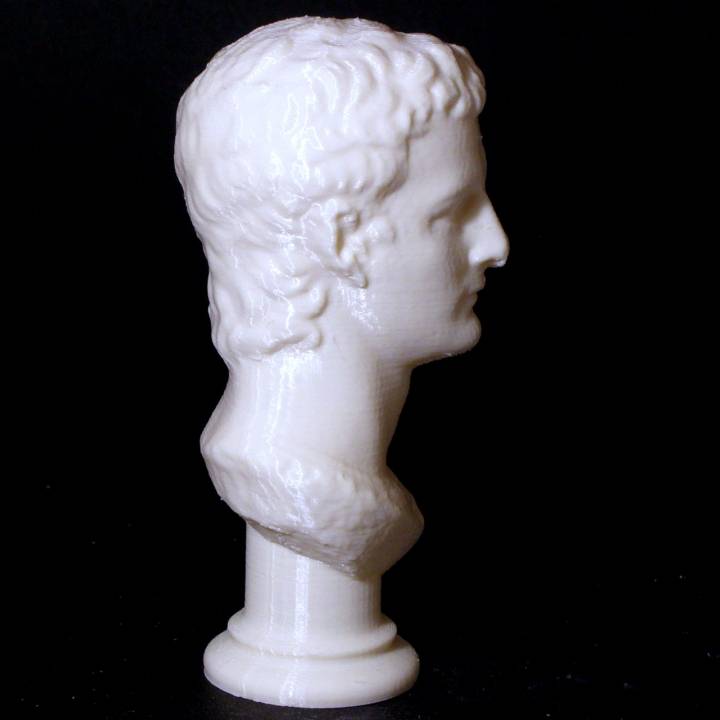 3D Printable Portrait Head of Caligula by Scan The World