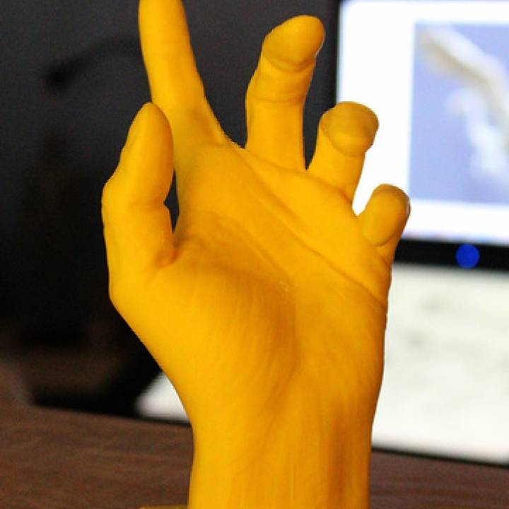 3D Printable Hand Anatomy by Milos