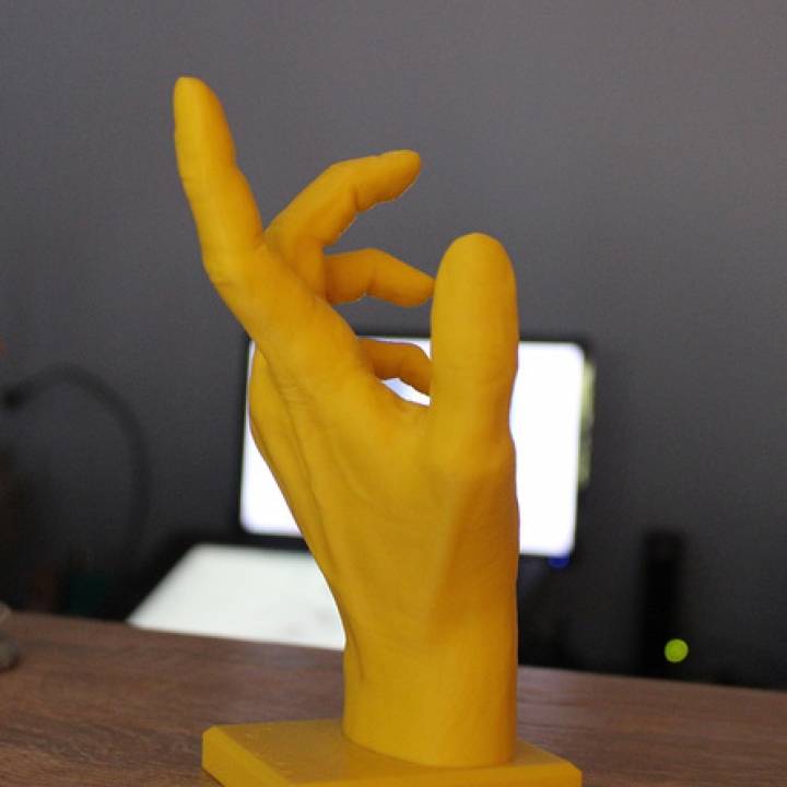 3D Printable Hand Anatomy by Milos