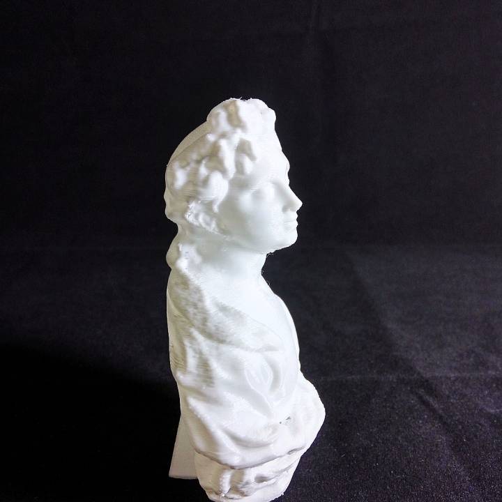 3D Printable Unknown Bust by Scan The World
