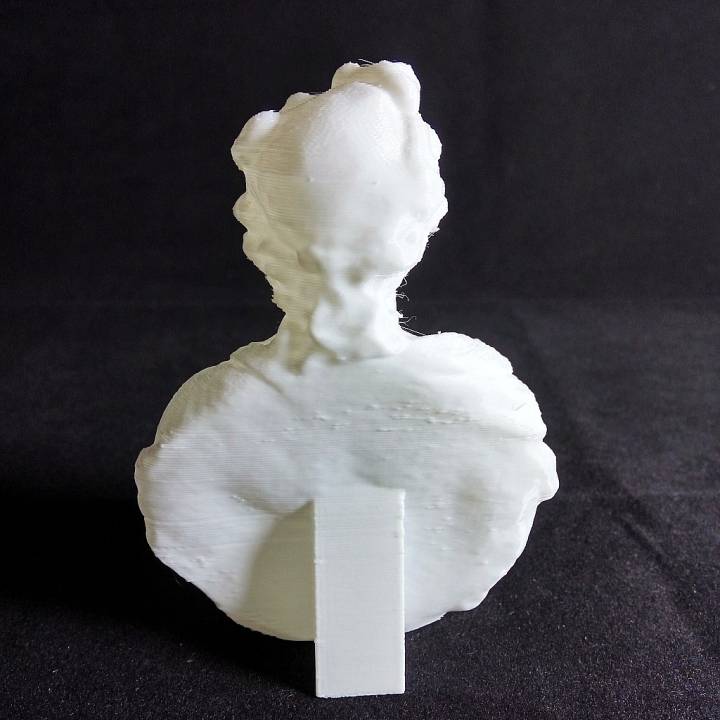 3D Printable Unknown Bust by Scan The World