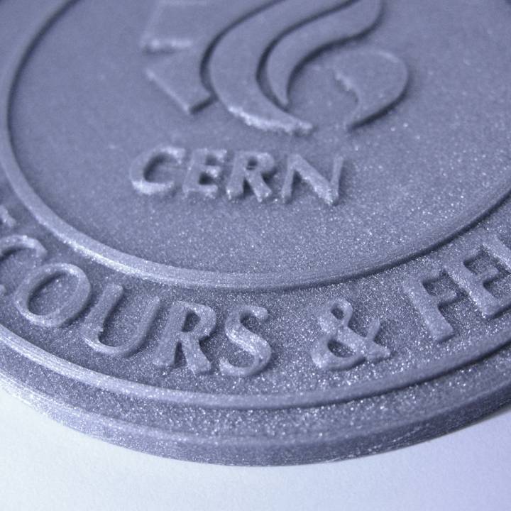 3D Printable CERN Fire Brigade Badge by Vaclav Lhota