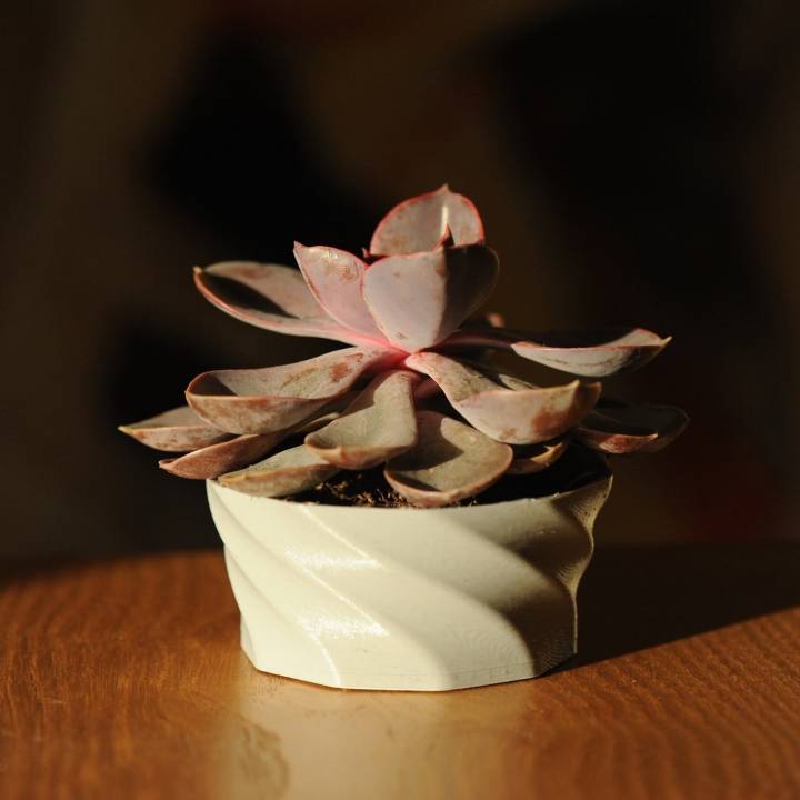 3D Printable Twisted plant pot by James Caamano