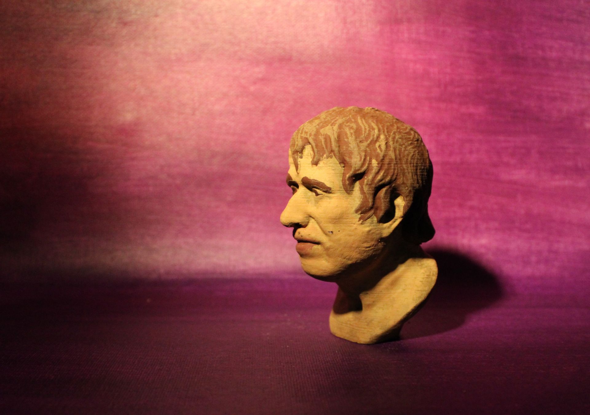 3D Printable Seneca by Scan The World