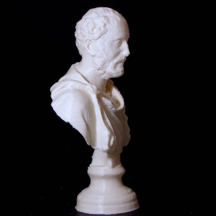 3D Printable Antoninus Pius by Scan The World
