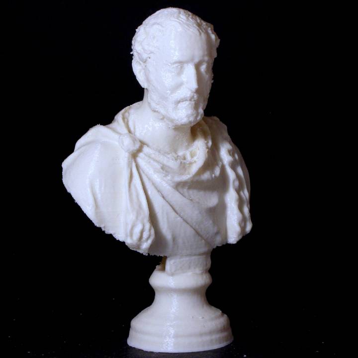 3D Printable Antoninus Pius by Scan The World