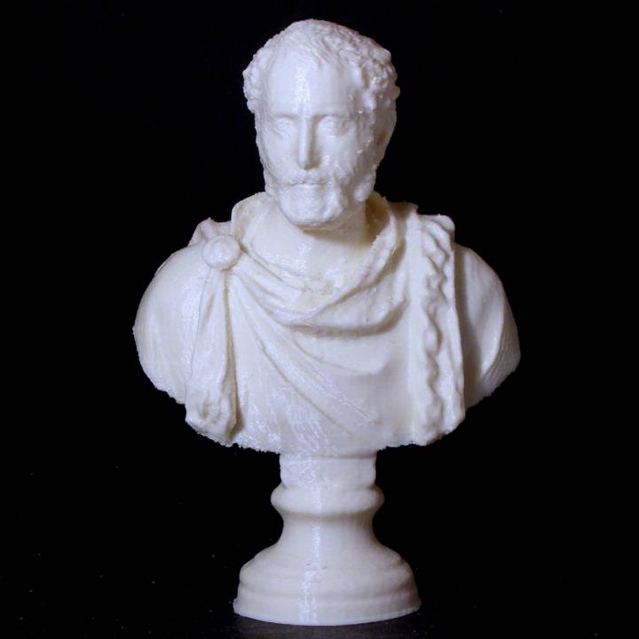3D Printable Antoninus Pius by Scan The World