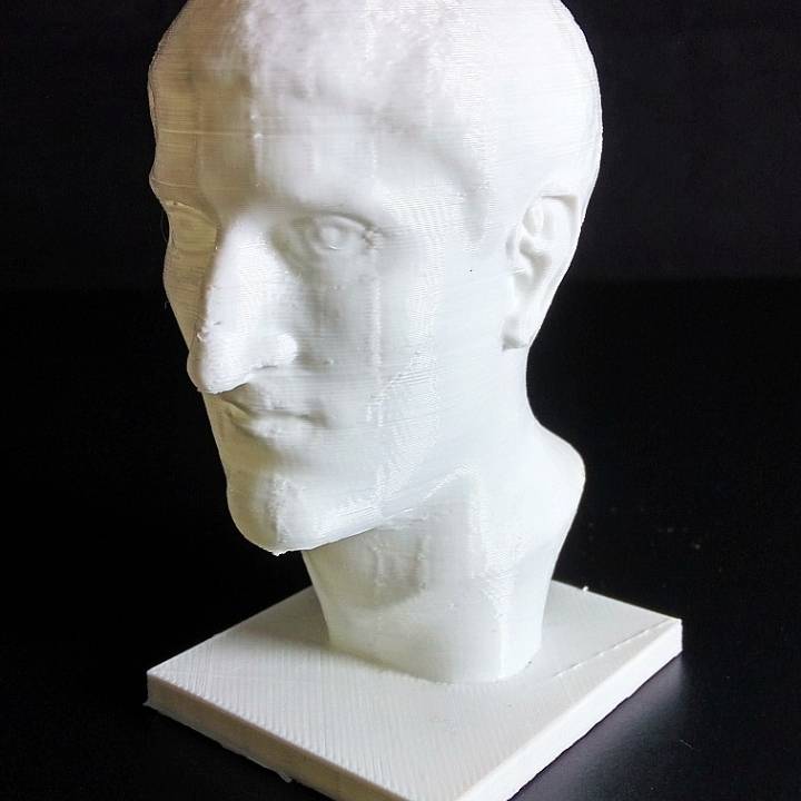 3D Printable Head of Maximinus Thrax by Scan The World