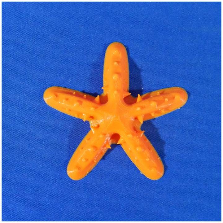 3D Printable Florida Star-fish Refrigerator Magnet by Richard Spehr