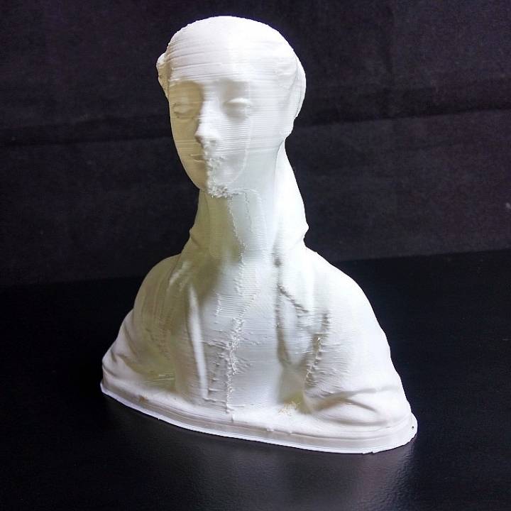 3D Printable Portrait of a Young Woman by Scan The World