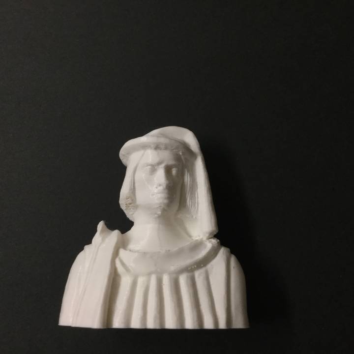3D Printable Lorenzo di Medici by Scan The World