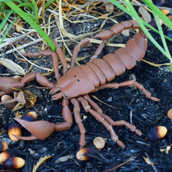 3D Printable BJD pet Scorpion by Aida Legrand