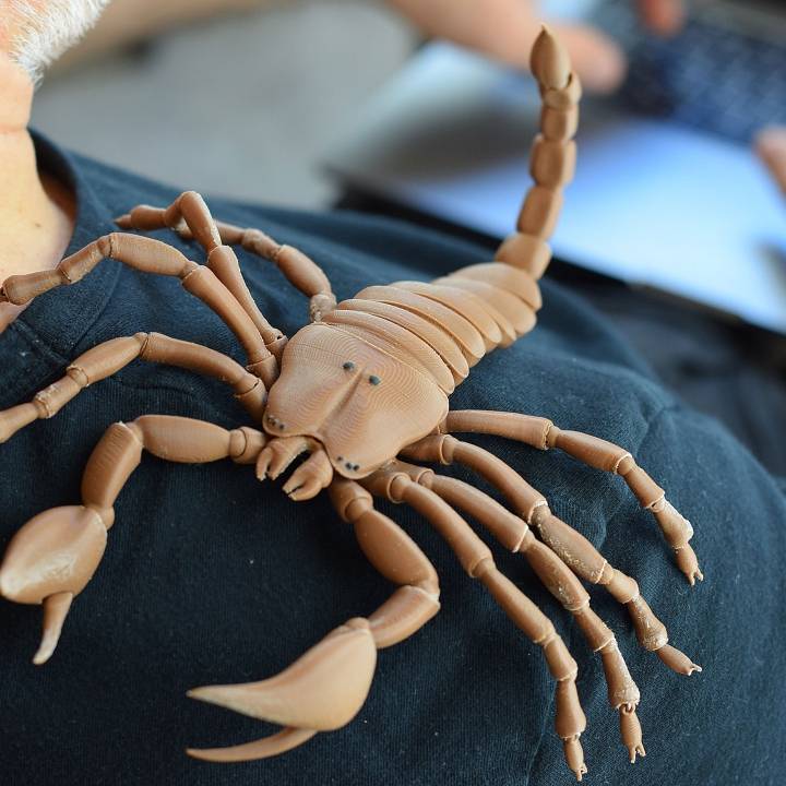 3D Printable BJD pet Scorpion by Aida Legrand