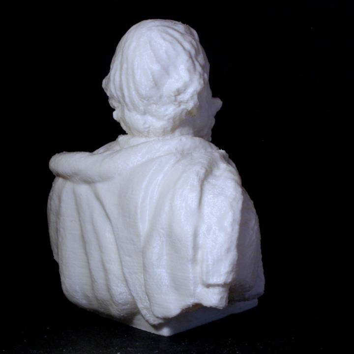 3D Printable Rubens by Scan The World