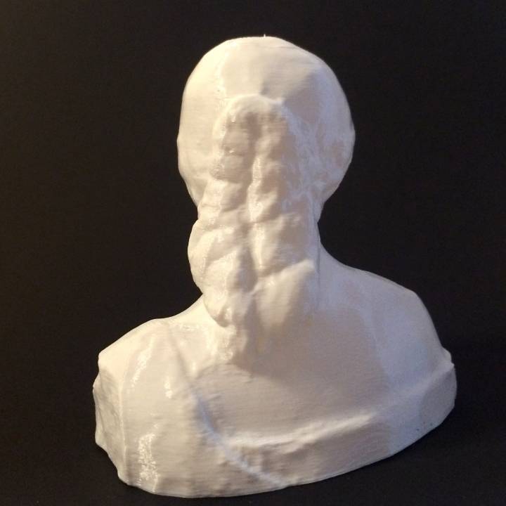 3D Printable Bust of a woman by Scan The World