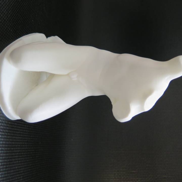 3D Printable Ilioneus, Son of Nioba by Scan The World