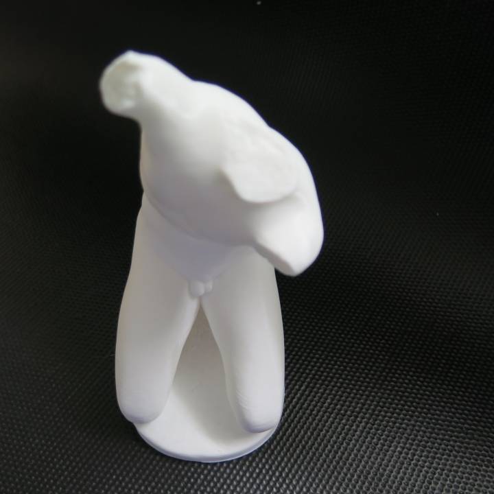 3D Printable Ilioneus, Son of Nioba by Scan The World