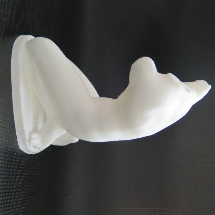 3D Printable Ilioneus, Son of Nioba by Scan The World