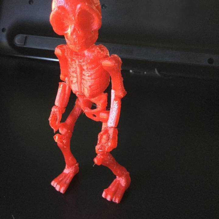 3D Printable Skully Articulated Skeleton by Adan