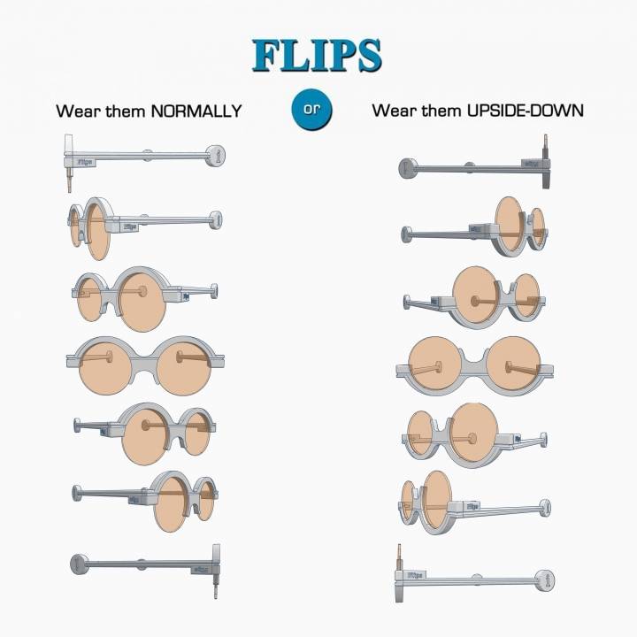 3D Printable #DesignItWright - FLIPS V02 (New Product Design) - Social ...