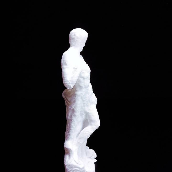 3D Printable Hercules by Scan The World