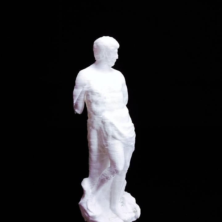 3D Printable Hercules by Scan The World