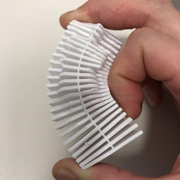 3D Printable Flexy MLK Memorial by Josh Ajima