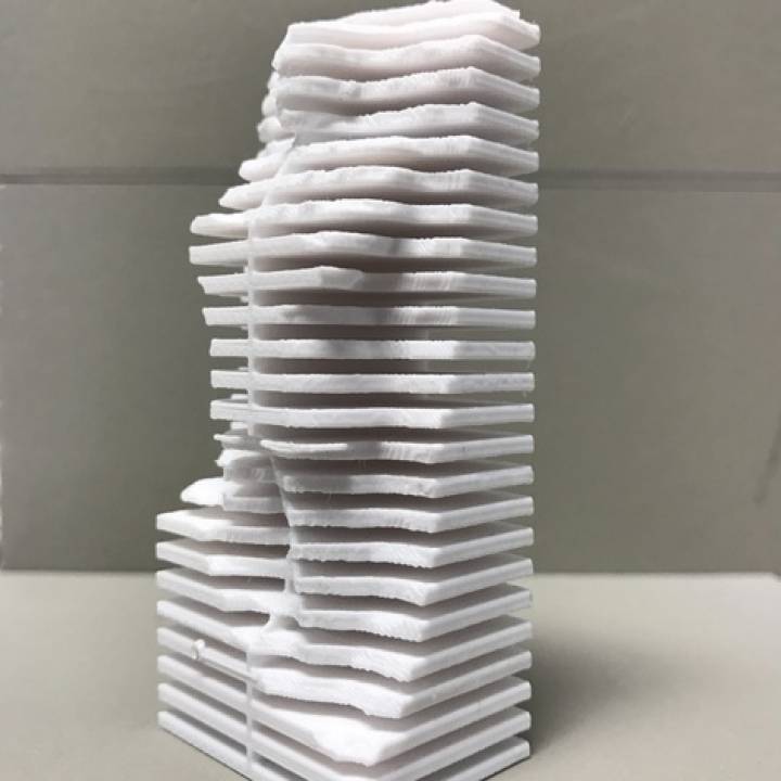 3D Printable Flexy MLK Memorial by Josh Ajima