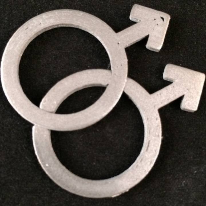 3D Printable Marriage Symbols - Interlocking by Josh Ajima