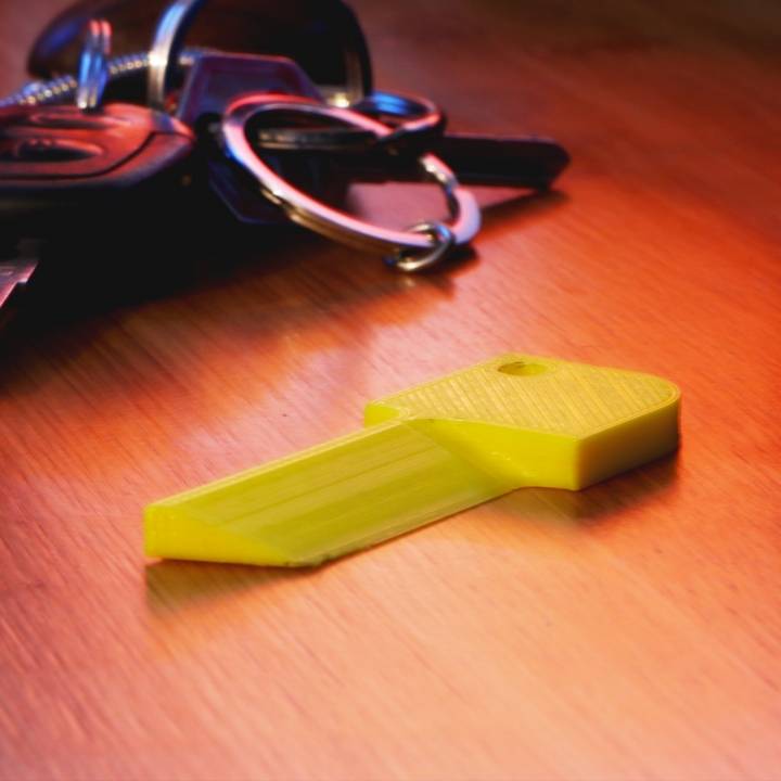 3D Printable Cutting Key by Clement C.