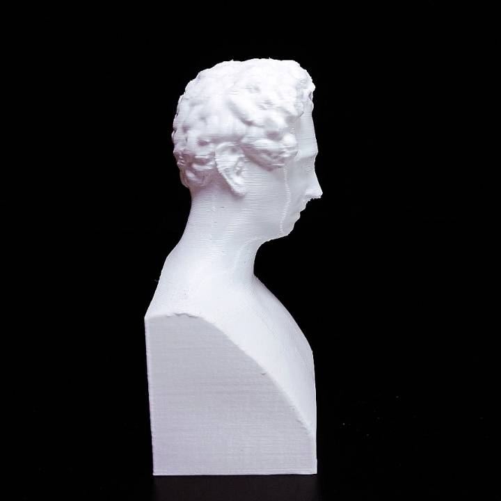 3D Printable Portrait of Vasily Perovsky by Scan The World