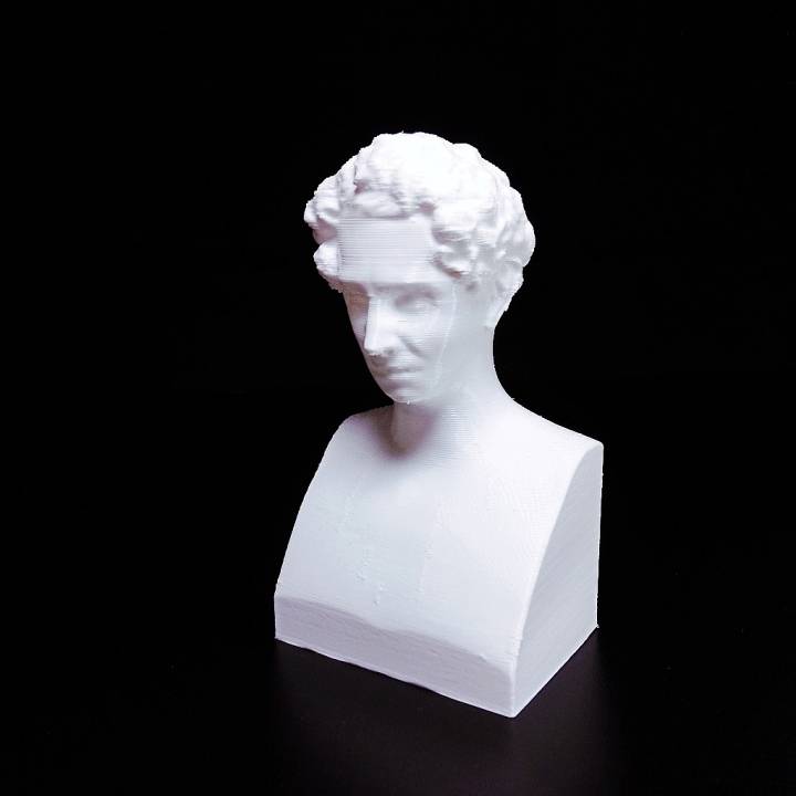 3D Printable Portrait of Vasily Perovsky by Scan The World