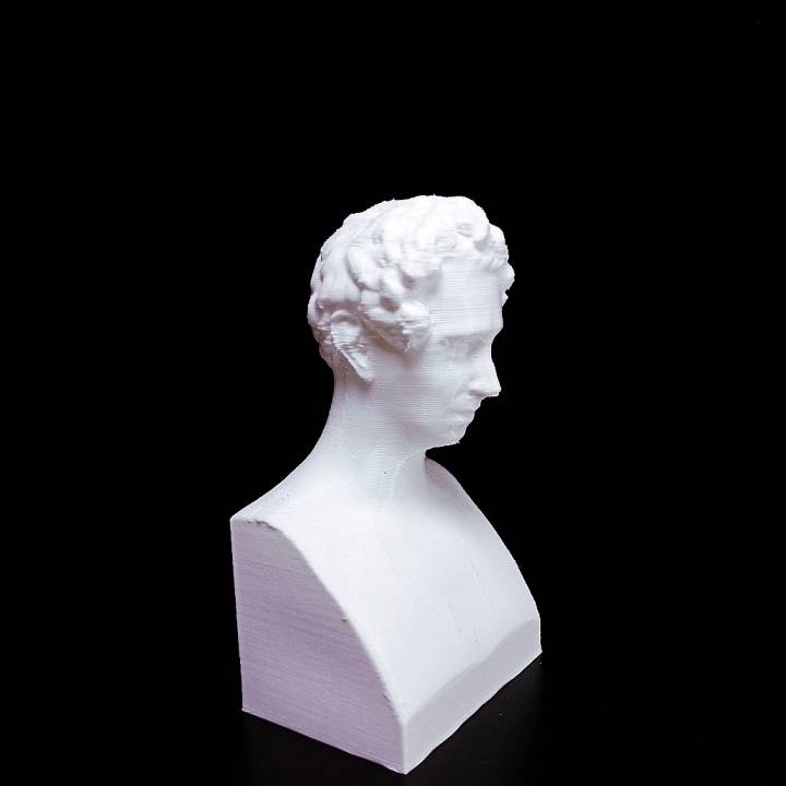 3D Printable Portrait of Vasily Perovsky by Scan The World