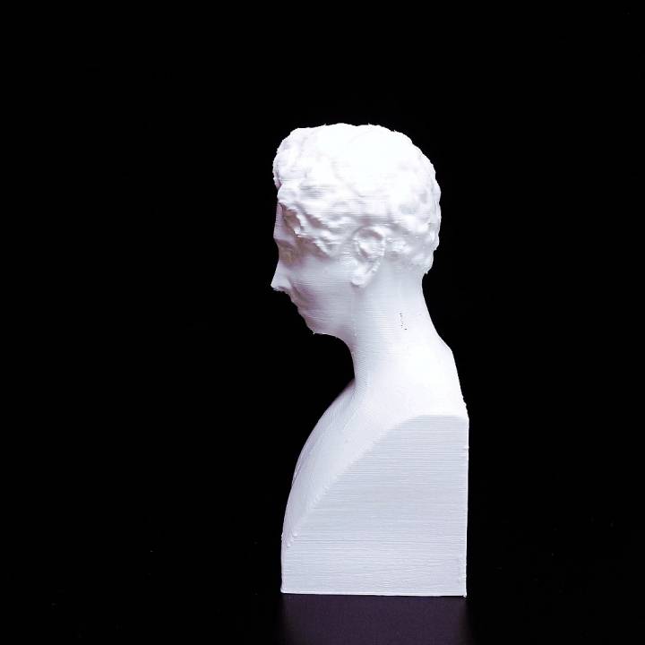 3D Printable Portrait of Vasily Perovsky by Scan The World