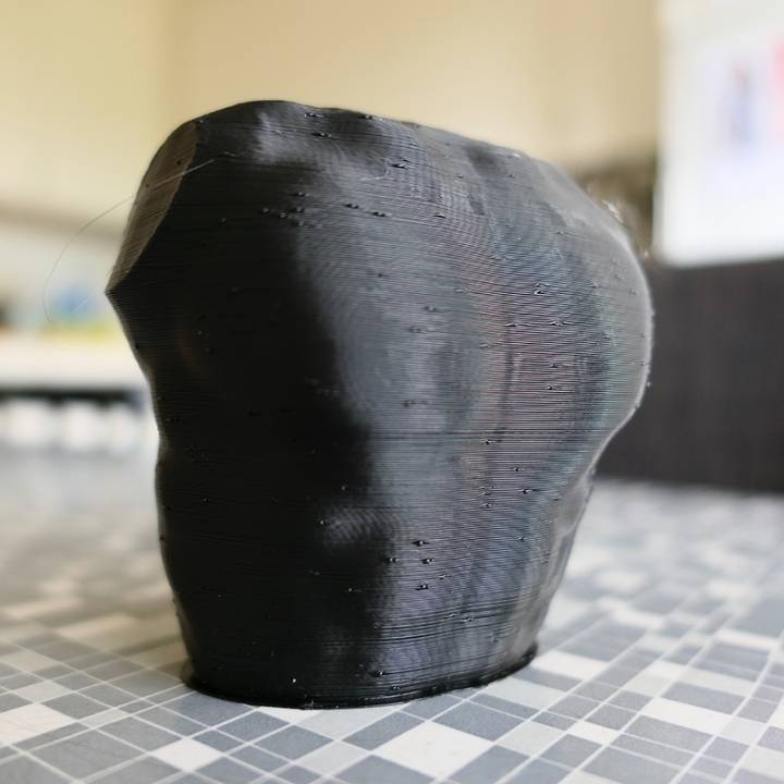 3D Printable Anatomical Model_Torax by William D'Ambrosio