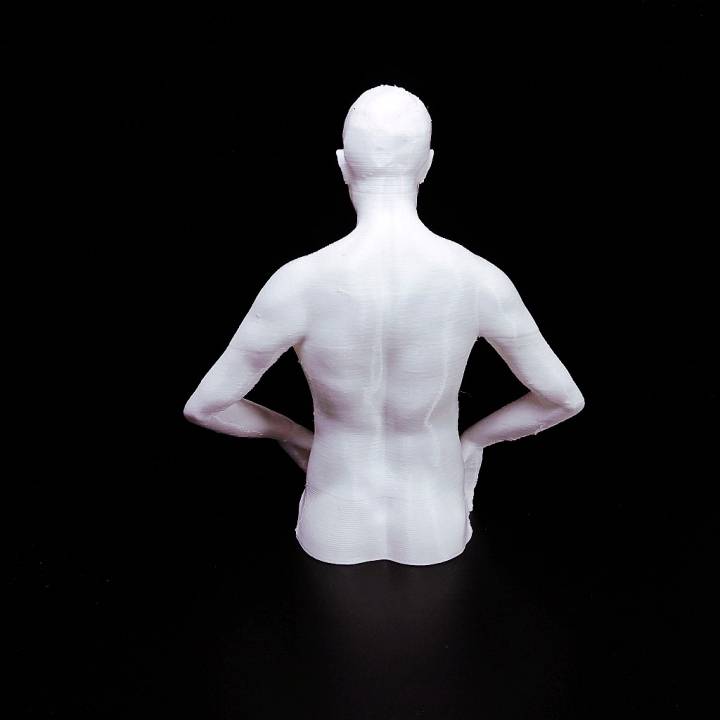 3D Printable Torso of a Man by Scan The World