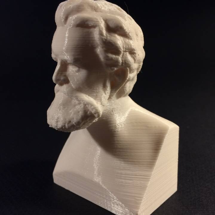 3D Printable Bust of Albert Pakh by Scan The World