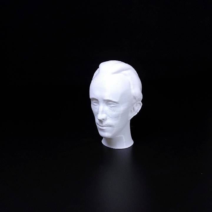 3D Printable Portrait of the Painter Aurel Bernath by Scan The World