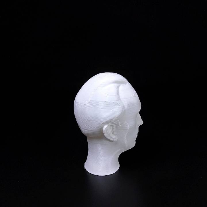 3D Printable Portrait of the Painter Aurel Bernath by Scan The World