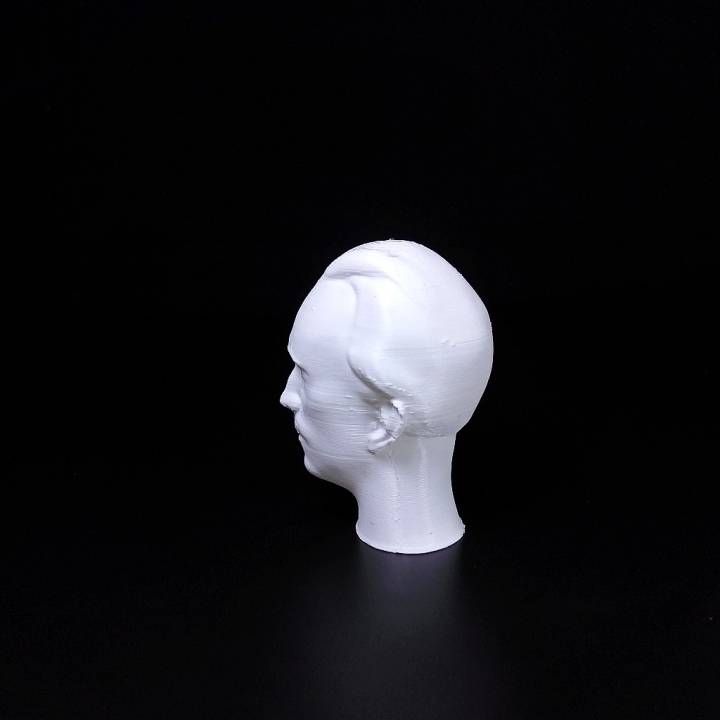 3D Printable Portrait of the Painter Aurel Bernath by Scan The World