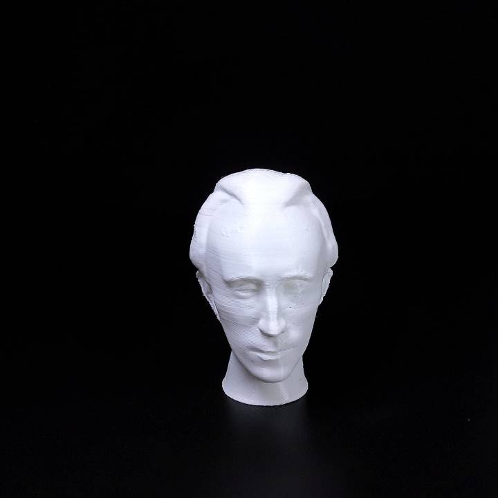 3D Printable Portrait of the Painter Aurel Bernath by Scan The World