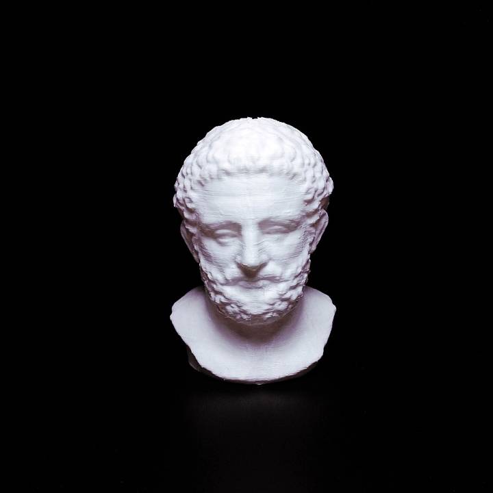 3D Printable Antoninus pius by Scan The World