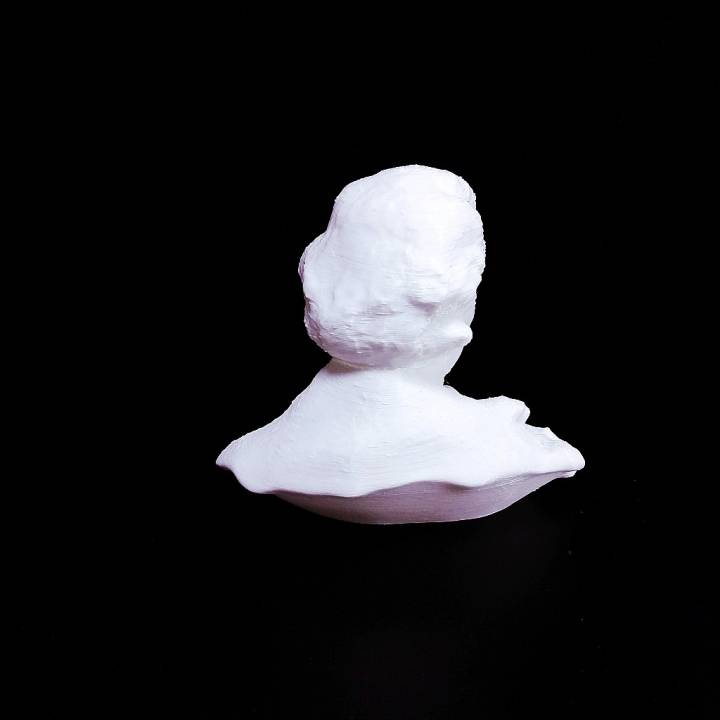 3D Printable Portrait of the painter Jozsef Rippl-Ronai by Scan The World