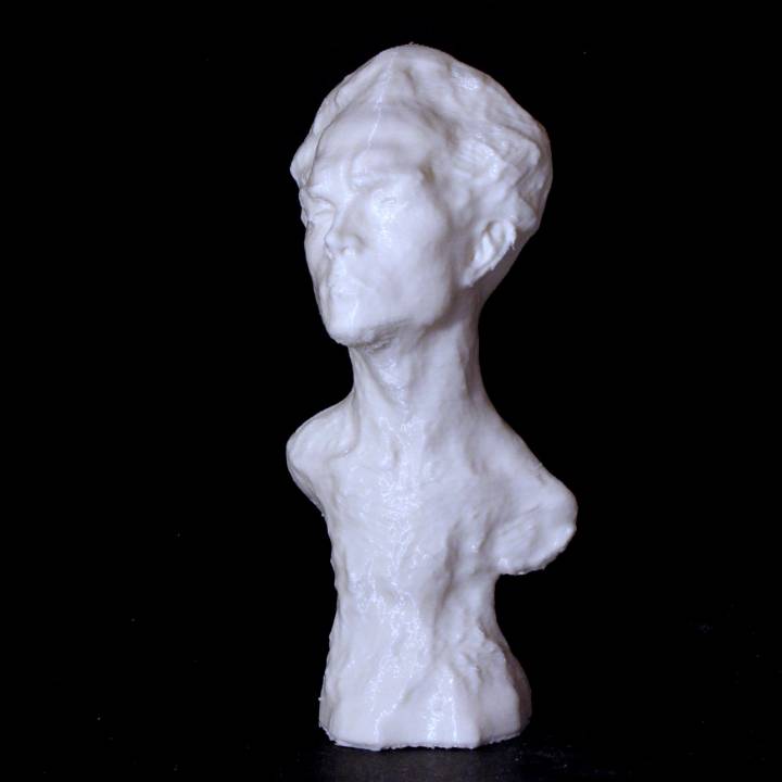 3D Printable Portrait of Petras Vaivada by Scan The World