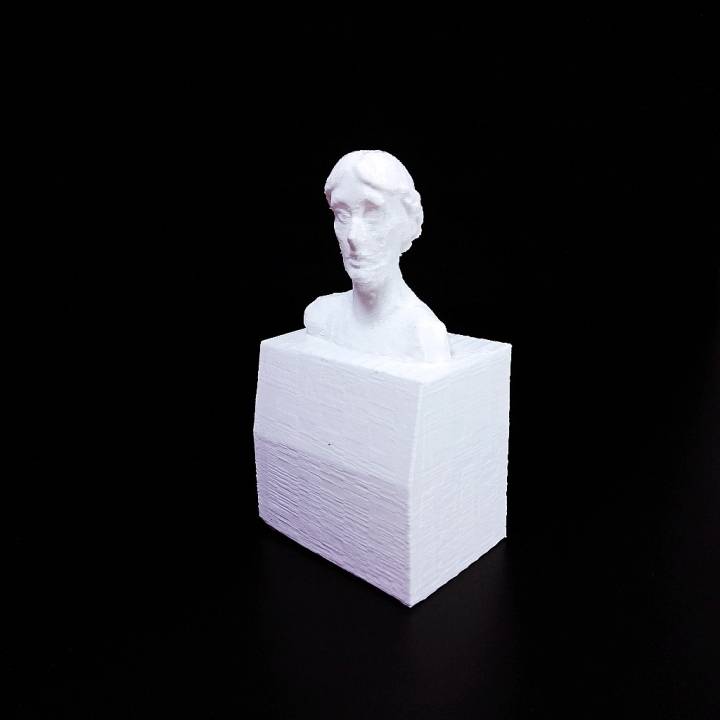 3D Printable Virginia Woolf by Scan The World